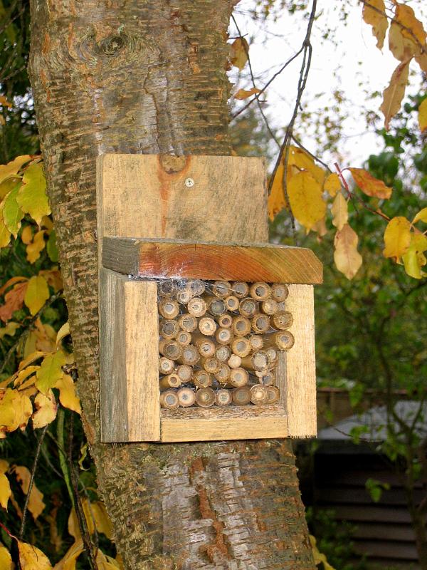 Shelter for insects to overwinter