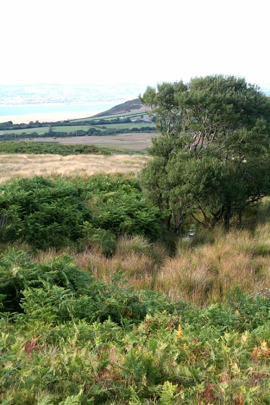 Gower Reynoldston Holywell Spring 01