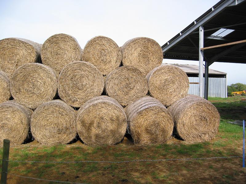 Kings Wood Baled Straw 01