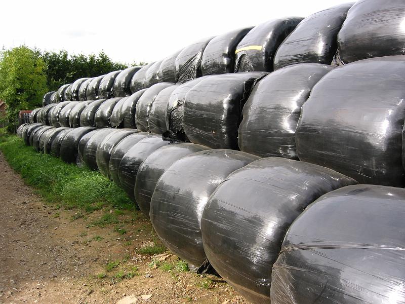 Kings Wood Baled Straw 04