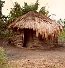 Congolese house