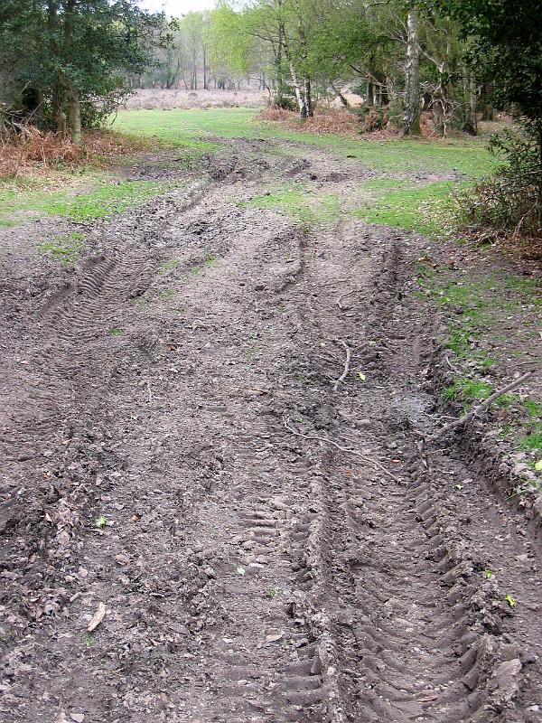 Mud churned up by tree felling