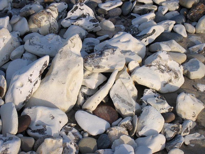 Vigso beach F large chalk stones