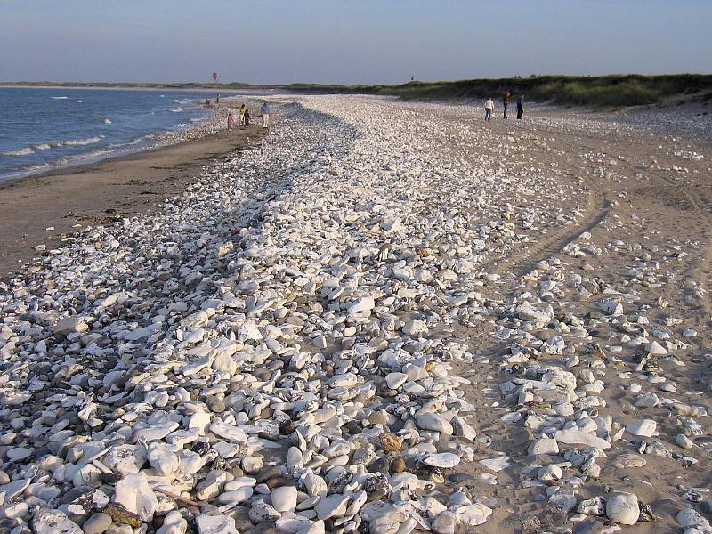 Vigso beach Grading chalk pebbles Denmark