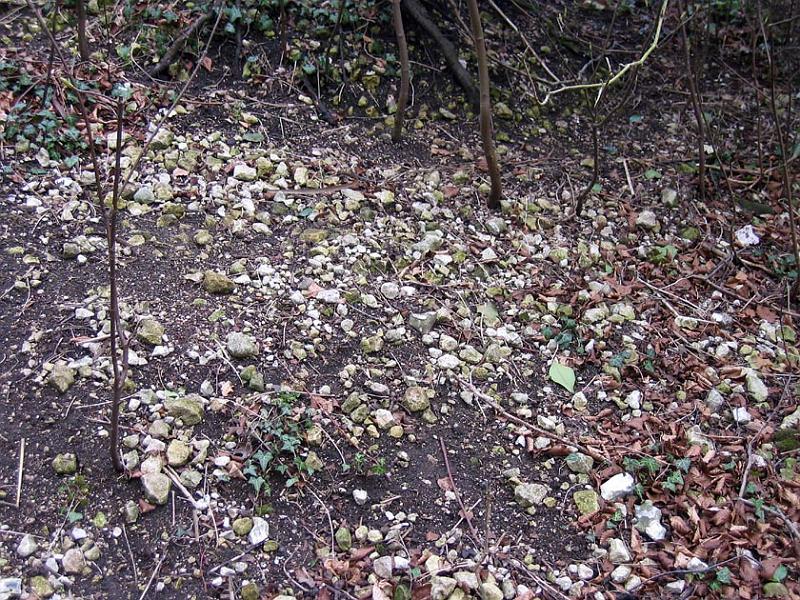Chalk rubble in soil