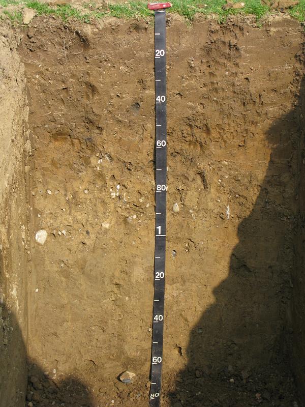Irish Brown soil profile