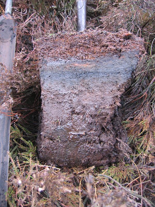 Peat soil profile 09