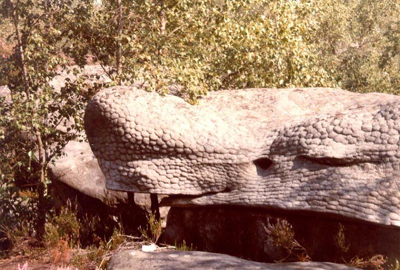 7634 best r/geology images on Pholder | Clints and grykes in Visean ...