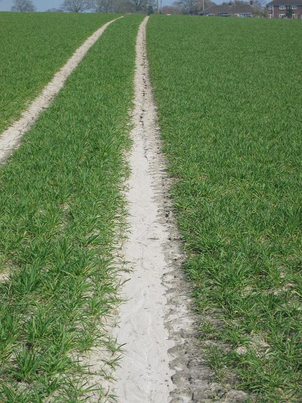 Erosion rill forming in field tram line 02