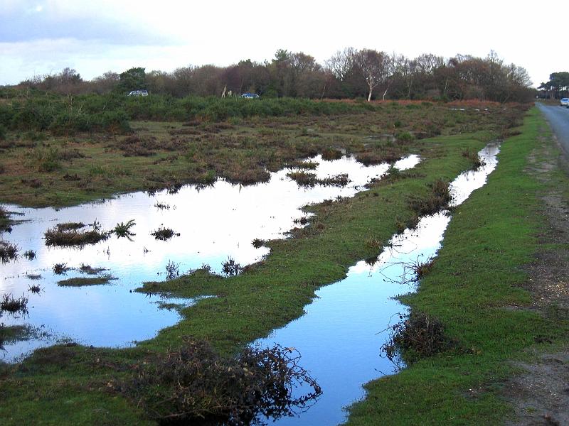 Water lying on the heath 02