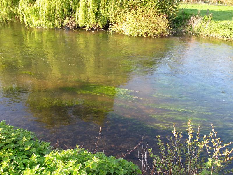 River Test Hampshire 04