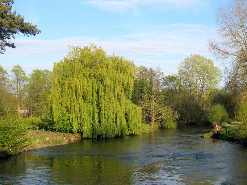 River Test Hampshire 05