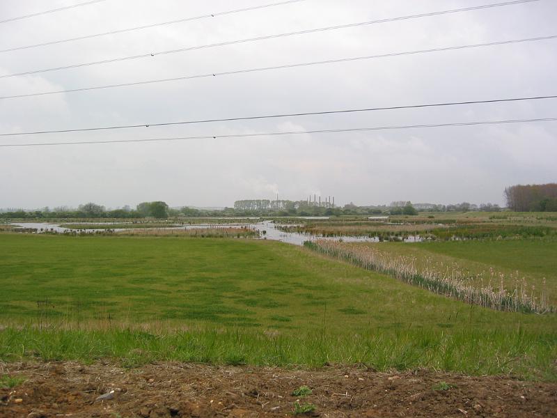 Marston Vale Forest Centre 01