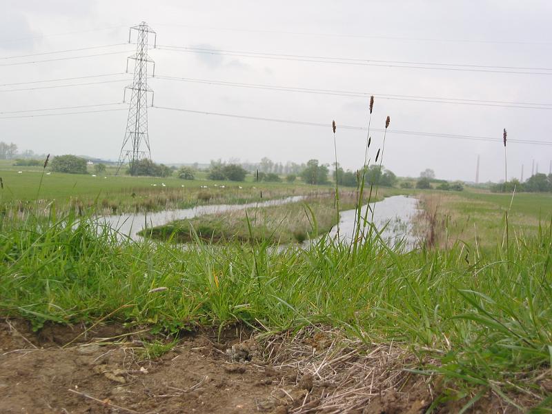 Marston Vale Forest Centre 03