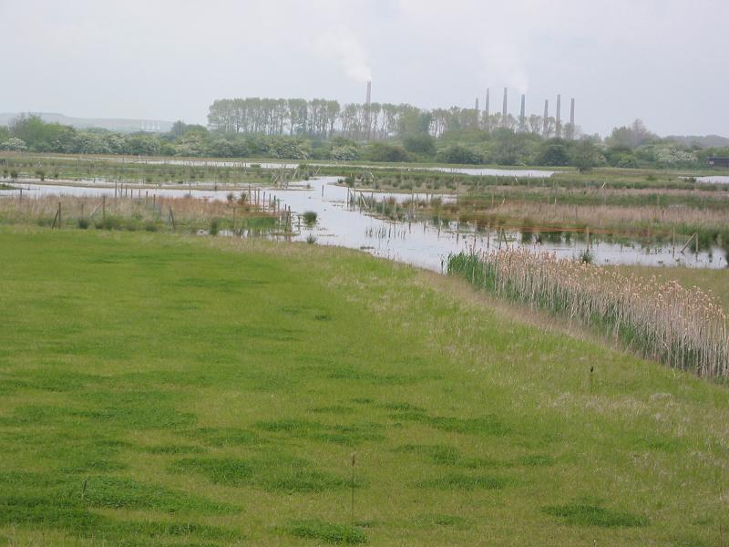 Marston Vale Forest Centre 04