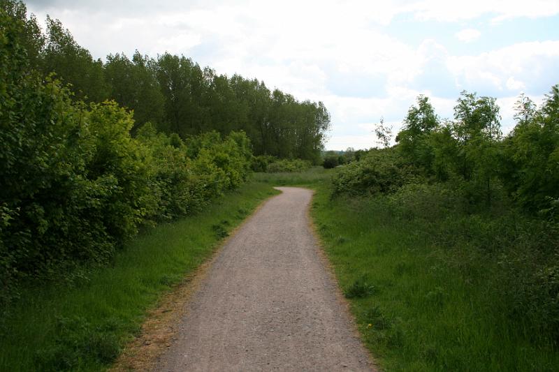 Marston Vale Forest Walk 01