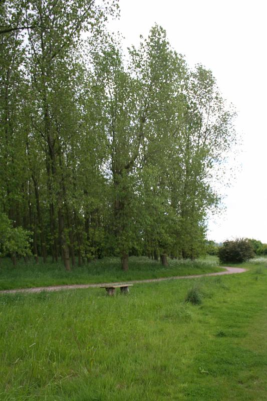 Marston Vale Forest Walk 02
