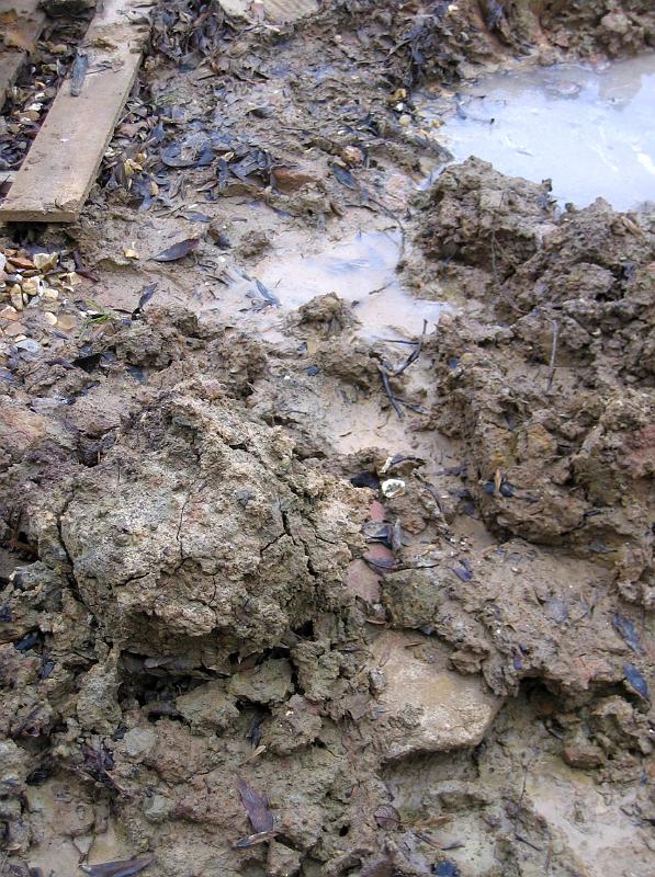 Wet Clay Soil